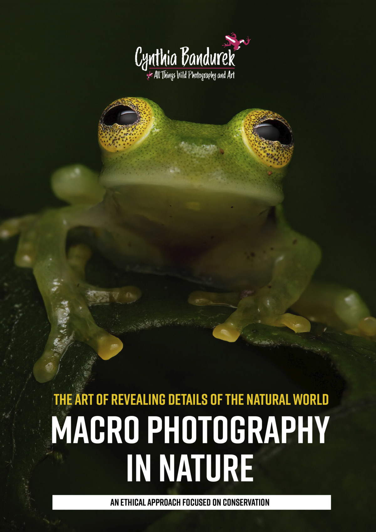 Macro Photography E-Book – Cynthia Bandurek